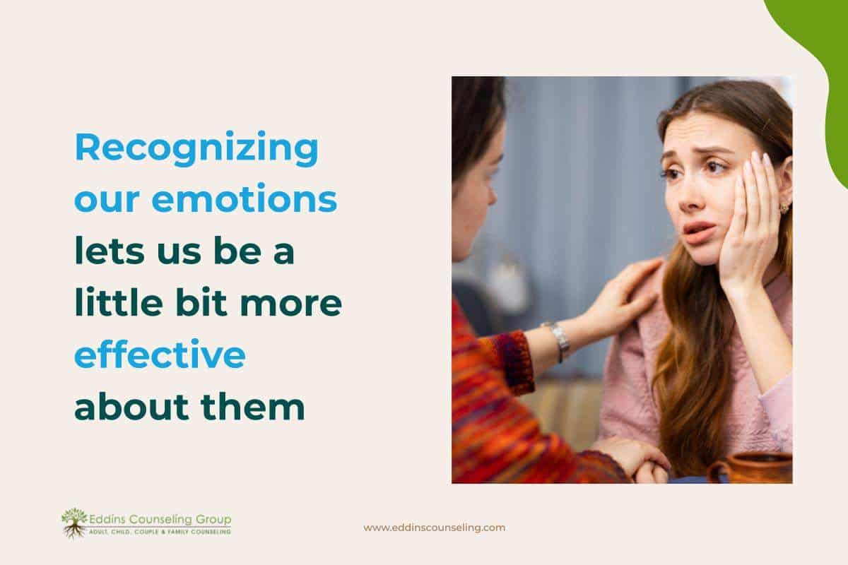 Webinar: Manage Emotional Reactions & Needs | Eddins Houston