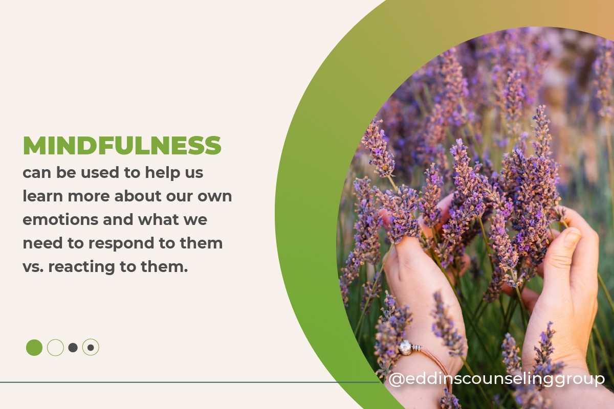 Webinar: A Focus on Mindfulness | Eddins Counseling