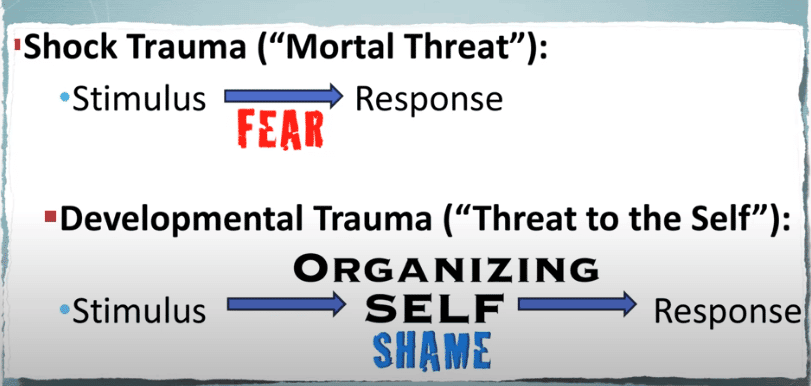 Webinar: Developmental Trauma and Its Impact on your Relationships ...